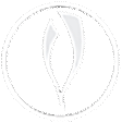 logo – AIDA Asian Freediving Cup